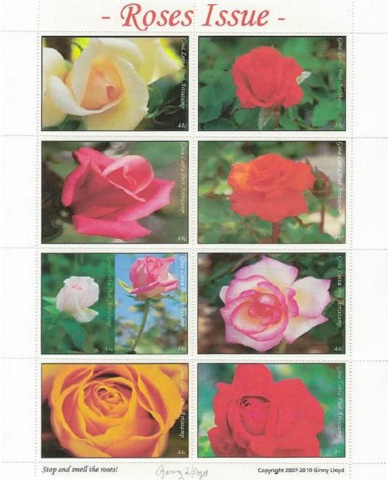 Sala 43 - Collezione Grafica: GINNY LLOYD di Bongiani Ophen Art Museum